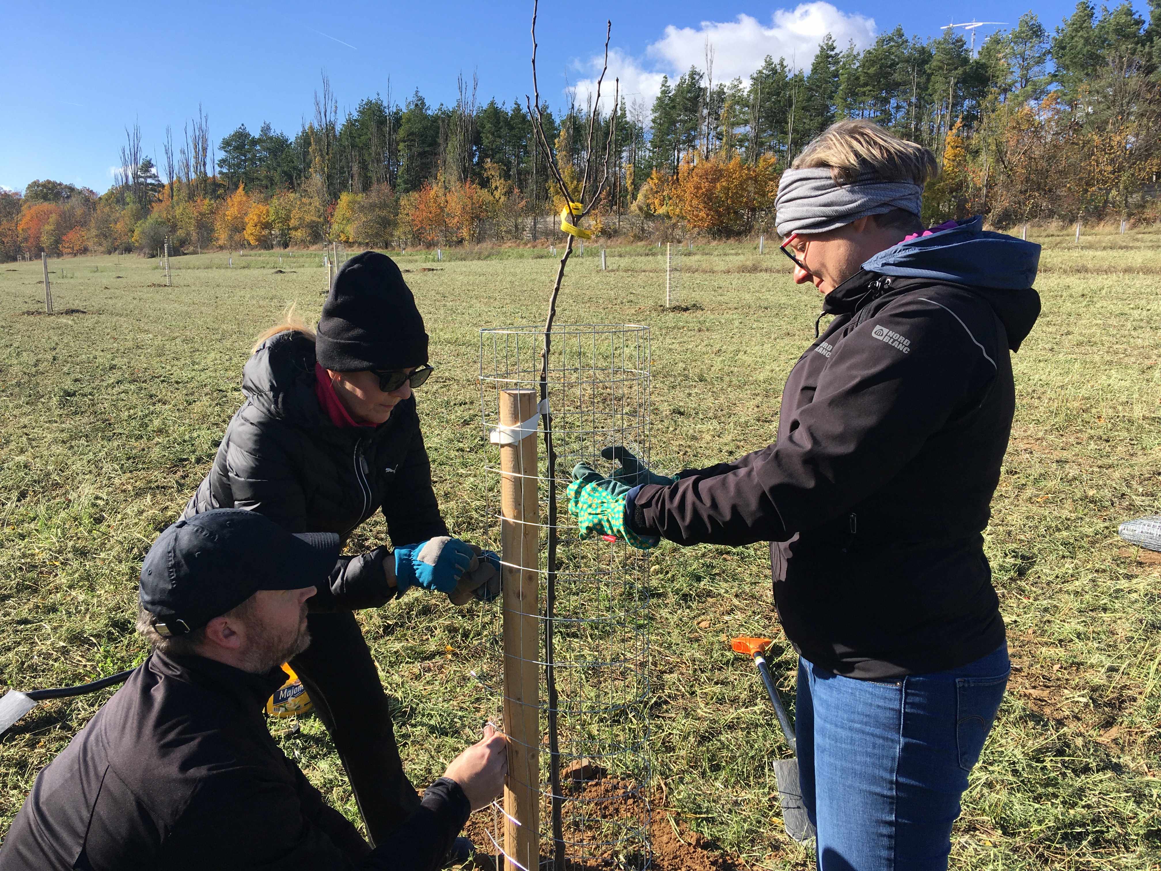 ROSSMANN díky kampani Vraťte stromům korunu přináší zeleň blíže lidem a ...